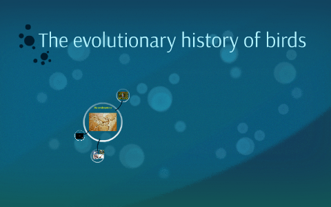 The evolutionary history of birds by Dylan Missiaen on Prezi