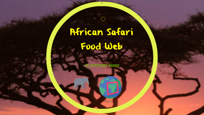 African Safari Food Web by Katelynne Darbee on Prezi