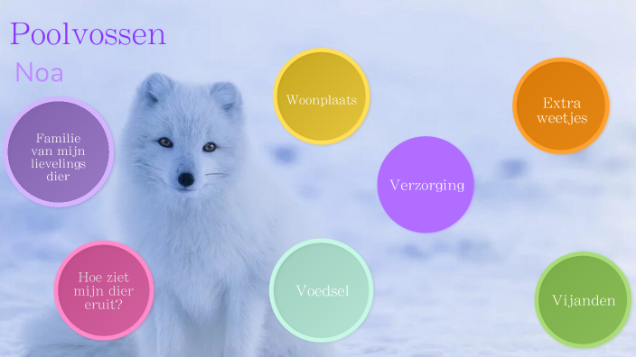 Poolvossen by Noa Van Driessche on Prezi