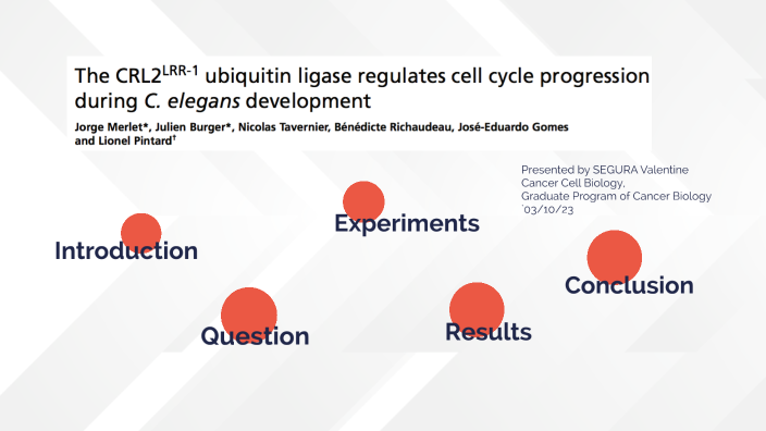 The CRL2LRR-1 ubiquitin ligase regulates cell cycle progression during ...