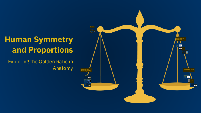 Human Symmetry and Proportions by ellie sherman on Prezi