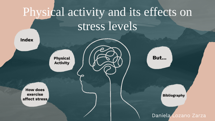 Physical activity and its effects on our stress levels by Daniela ...