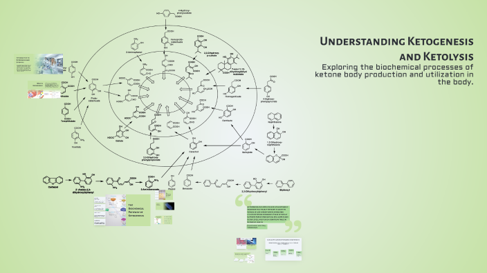 Understanding Ketogenesis and Ketolysis by Ziad Said on Prezi