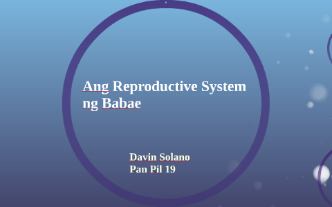Ang Reproductive System by Davin Solano on Prezi