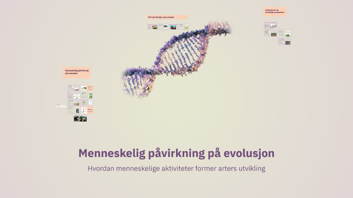 Menneskelig påvirkning på evolusjon by Ane Nym on Prezi