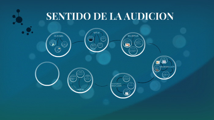 SENTIDO DE LA AUDICION by Natalia Rosado on Prezi