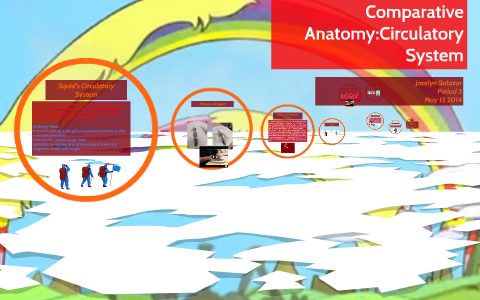 Comparative Anatomy:Circulatory System by Jocelyn Salazar on Prezi