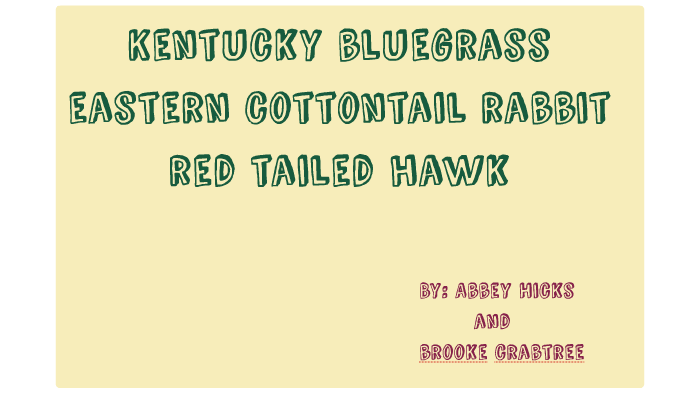 Kentucky Bluegrass by abbey hicks
