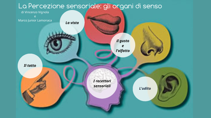 LA PERCEZIONE SENSORIALE: GLI ORGANI DI SENSO DI Vincenzo Vignola e ...