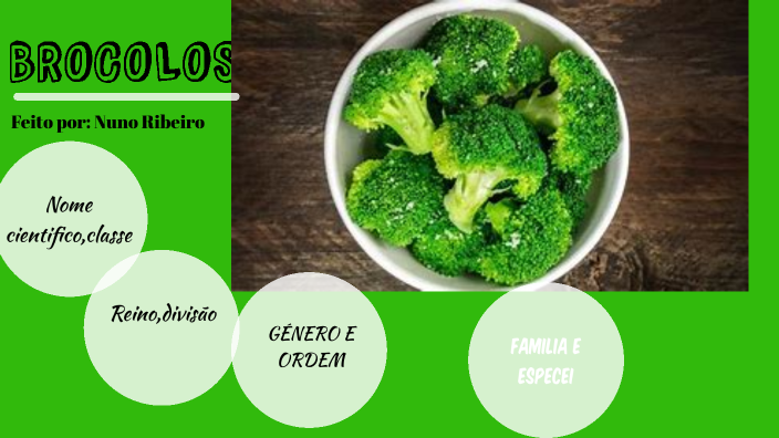 BROCOLOS by Nuno Ribeiro on Prezi