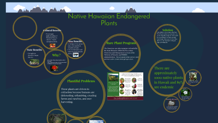 Native Hawaiian Endangered Plants by Richie Galutira on Prezi