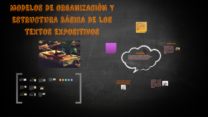 MODELOS DE ORGANIZACIÓN Y ESTRUCTURA BÁSICA DE LOS TEXTOS EX by Yasna ...