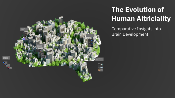 The Evolution of Human Altriciality by Issie Leighton on Prezi
