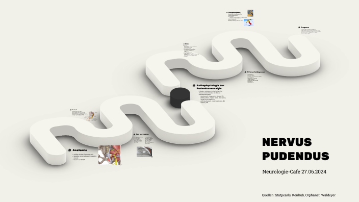N.pudendus by Lisa Valentina on Prezi