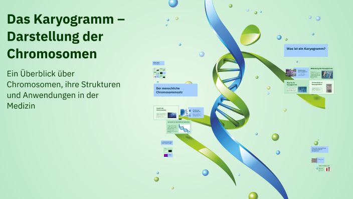 Das Karyogramm – Darstellung der Chromosomen by meli seitz on Prezi