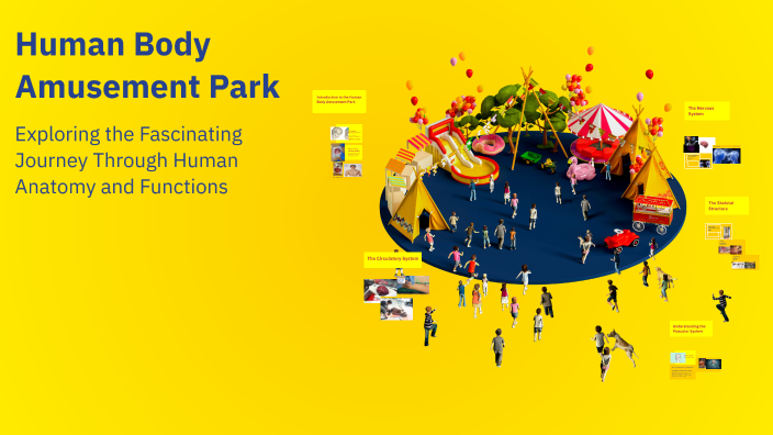 Human Body Amusement Park by Cameron Byun on Prezi