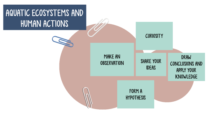 Aquatic ecosystems and humans actions by Luna Ortega on Prezi