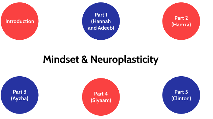 Mindsets Neuroplasticity by Clinton Mandaza on Prezi