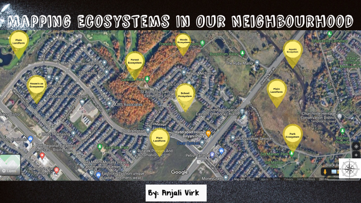 Mapping Ecosystems In Our Neighborhood by Anjali Virk on Prezi