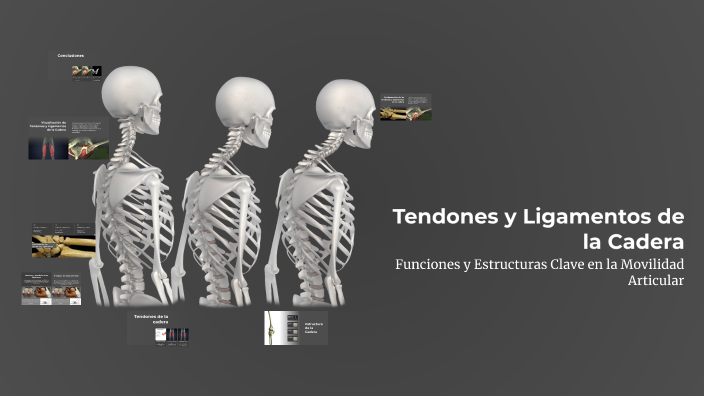 Tendones y Ligamentos de la Cadera by JUAN CAMILO PINILLO LOPEZ on Prezi