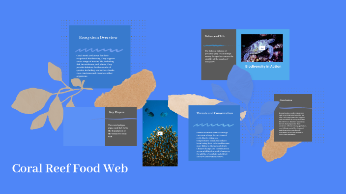 Coral Reef Food Web by Gabriel Regalado Ramirez [STUDENT] on Prezi