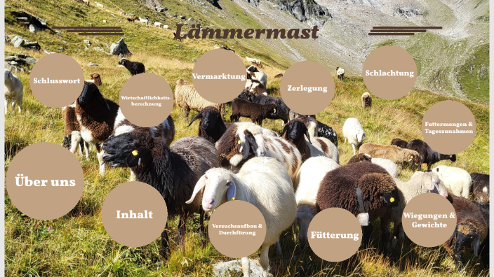 Abschlussarbeit Präsentation by Daniel Rieder on Prezi