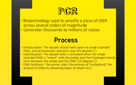 Genetics Model Organism Group Project by Nicholas Kir on Prezi