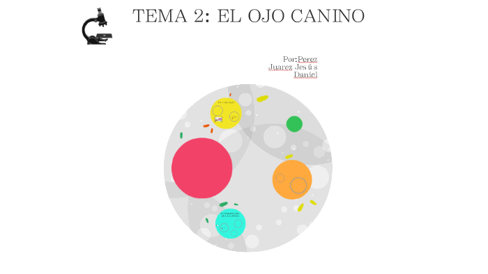 TEMA 2: ANATOMIA Y FILIOLOGIA DEL OJO CANINO by Daniel juarez on Prezi