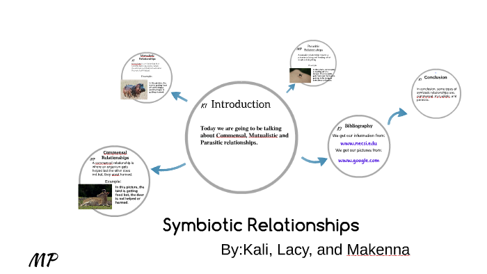 Symbiotic Relationships by kelly farr on Prezi