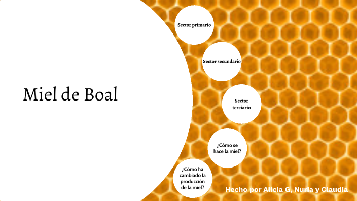 Miel de Boal by Claudia Martínez Díaz on Prezi