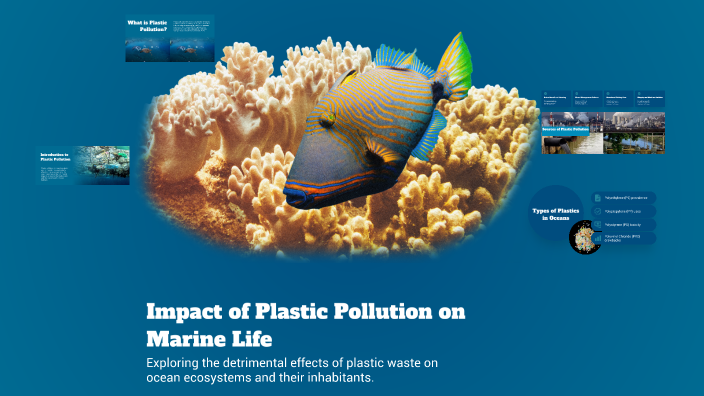 Impact of Plastic Pollution on Marine Life by Cyril Francies on Prezi