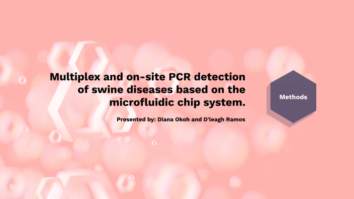 Multiplex and on-site PCR detection of swine diseases based on the ...