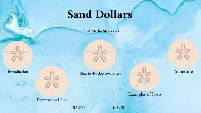 Sand Dollars by Mia Nguyen on Prezi