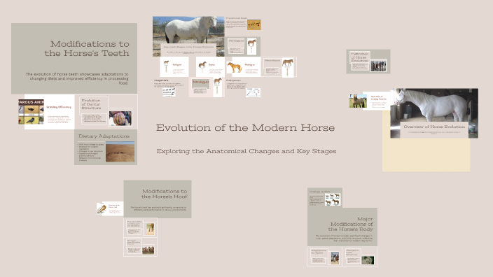 Evolution of the Modern Horse by Sam Calma on Prezi