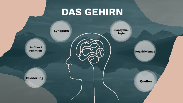 Gehirn by Mila Neukamp on Prezi