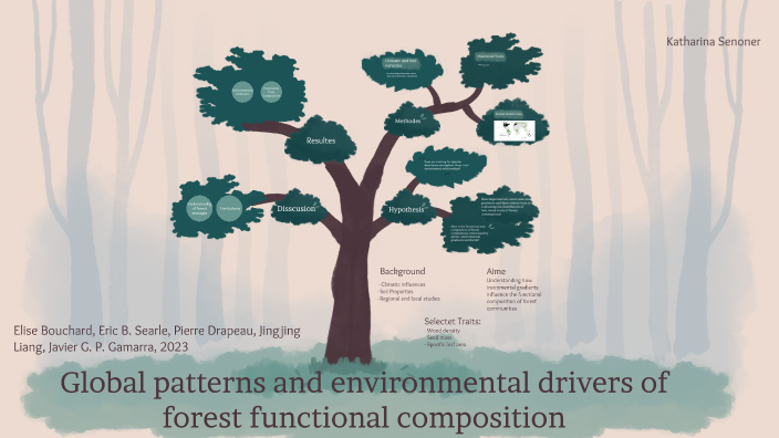 Forest functional traits by Katharina Senoner on Prezi