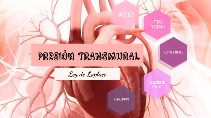 PRESIÓN TRANSMURAL by adriana banchon on Prezi
