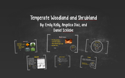 Temperate Woodland and Scrubland by Emily Kelly on Prezi