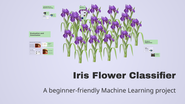 Iris Flower Classifier by Sangamesh Pattanashetti on Prezi