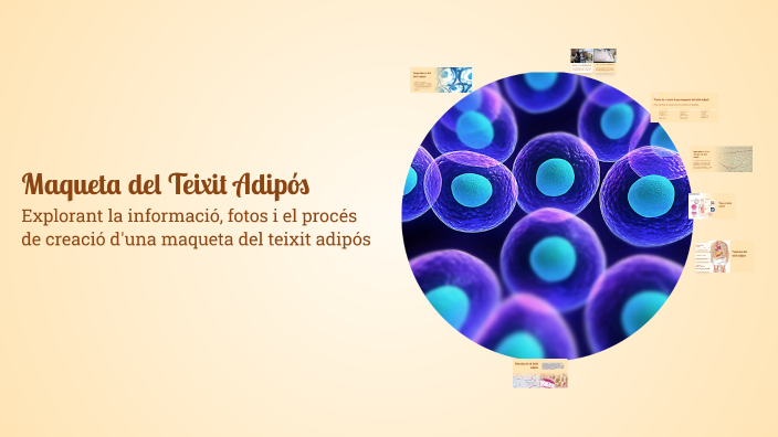 Maqueta del Teixit Adipós by Arvind Nar on Prezi