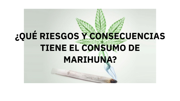 Qué Riesgos Y Consecuencias Tiene El Consumo De Marihuna By Julian