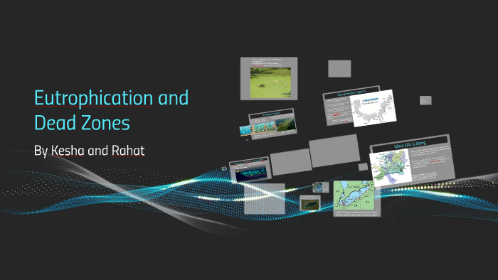 Eutrophication and Dead Zones by Rahat Choudery on Prezi