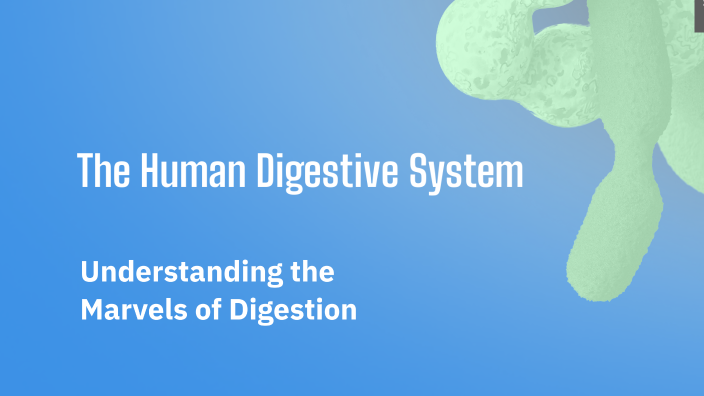 The Human Digestive System by Tracy Marrs on Prezi