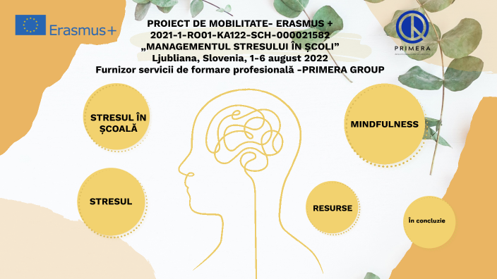 MANAGEMENTUL STRESULUI IN SCOALA by Gabriel Stefan Sulea on Prezi