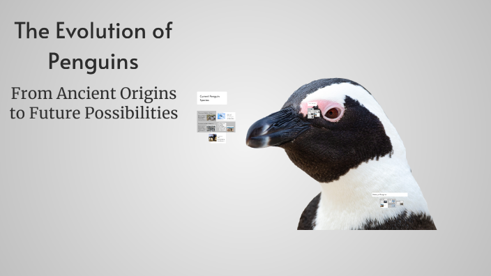 The Evolution of Penguins by Romina rostamizadeh on Prezi