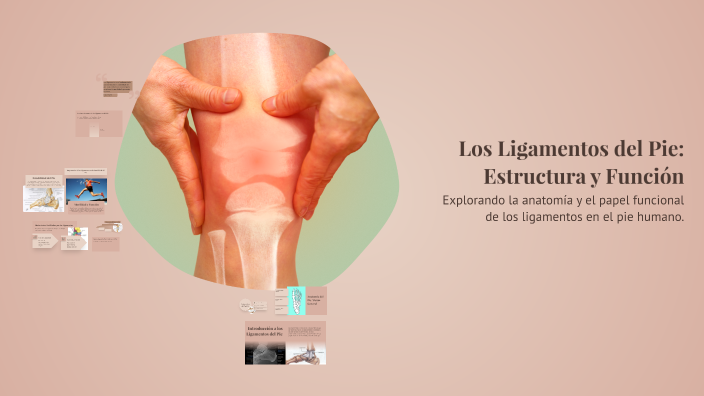 Los Ligamentos del Pie: Estructura y Función by edward montaño on Prezi