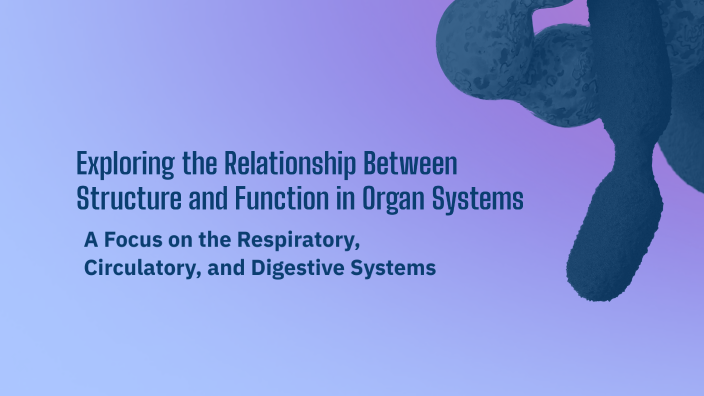 Exploring The Relationship Between Structure And Function In Organ 4014
