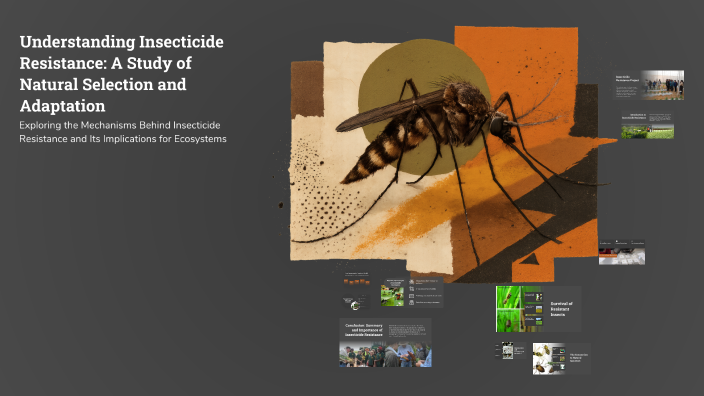 Understanding Insecticide Resistance: A Study of Natural Selection and ...