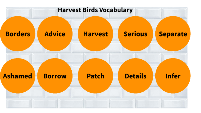 Harvest Birds Vocabulary by Kelsey Western on Prezi