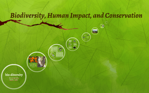 Biodiversity, Human Impact, and Conservation Presentation by Sarah ...
